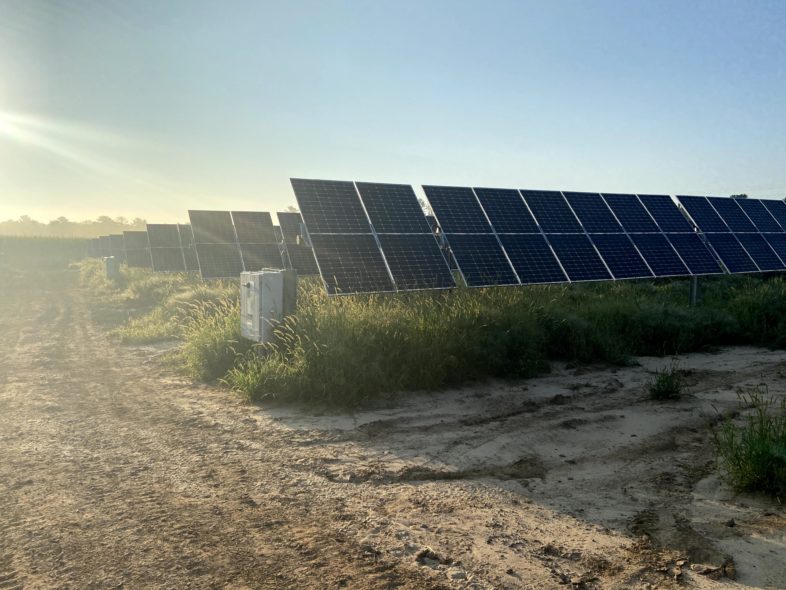 Two New Solar Projects Complete Installation - Native